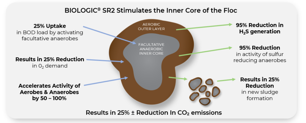 BIOLOGIC® SR2 - Dunwell Group